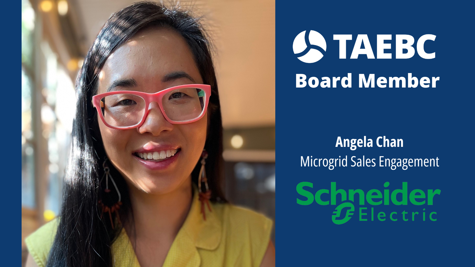 Tennessee Advanced Energy Business Council — Q&A with Board Member ...